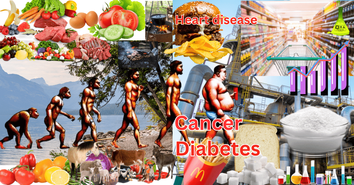 The Evolution Of Diet And Its Impact On Health